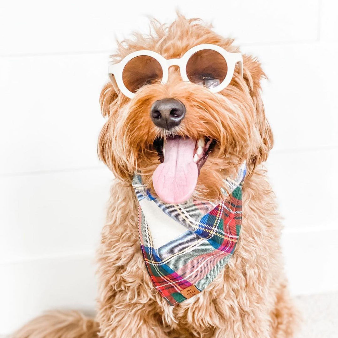 houndpot | Korea Store – 300cbt | 삼백씨비티